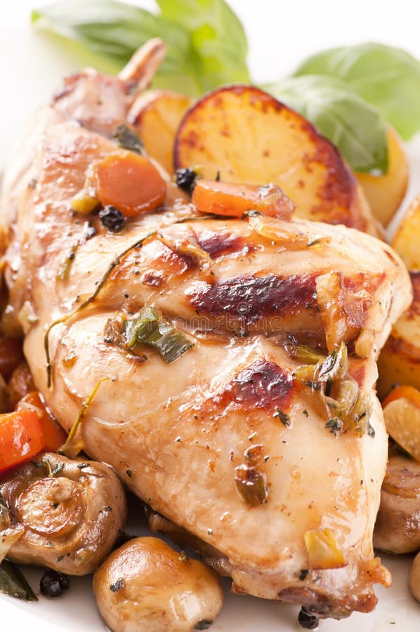 Rabbit ragout stock image. Image of leveret, roasted - 19894185