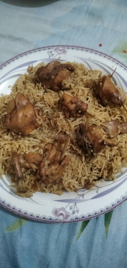 Rabbit Rice stock photo. Image of tasty, cooked, noodle - 224263700