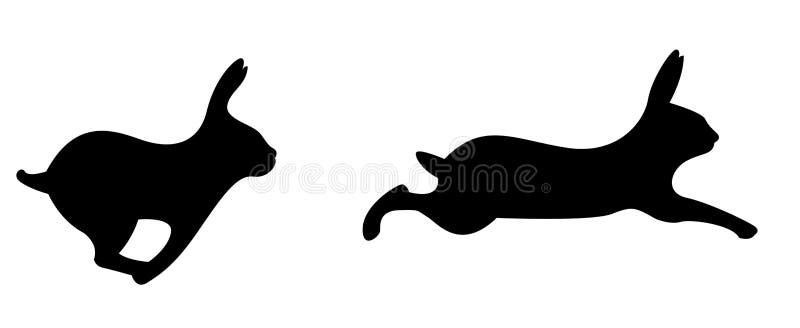 Running Rabbit Png