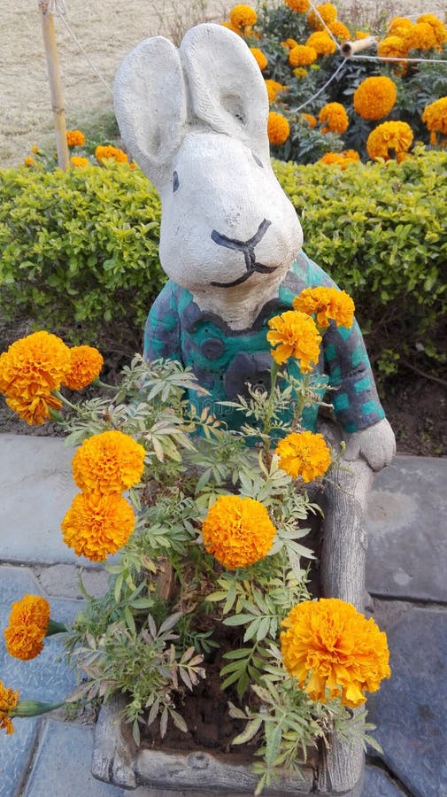 Rabbit Saying Hello stock photo. Image of welcome, rabbit - 82990274