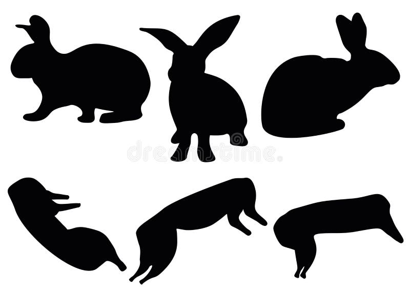 Rabbits and Hares in the Set and Their Carcasses. Rabbits in Different ...
