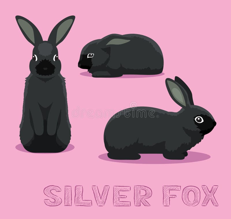 Silver Fox Rabbit Stock Illustrations – 34 Silver Fox Rabbit Stock ...