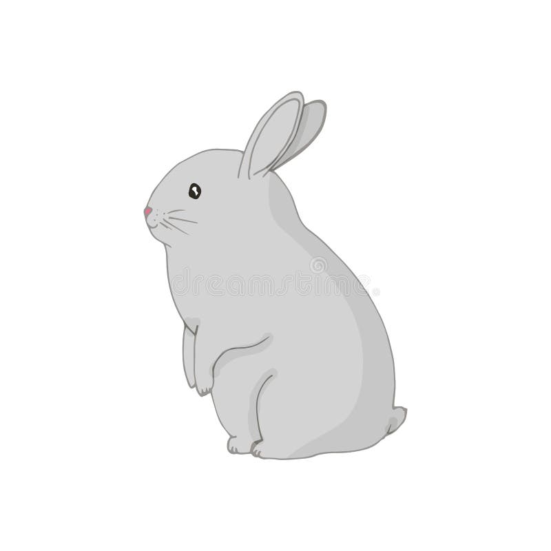 The Rabbit is Sitting Isolated on White. Stock Vector - Illustration of ...