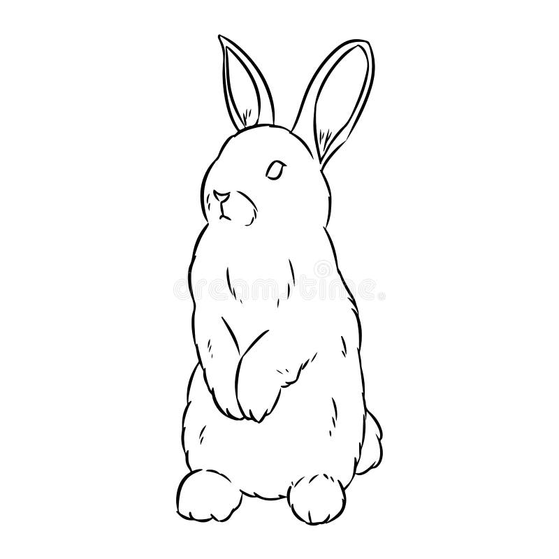 Rabbit Sketch. Hand Drawn Cute Rabbit Doodle Stock Vector ...