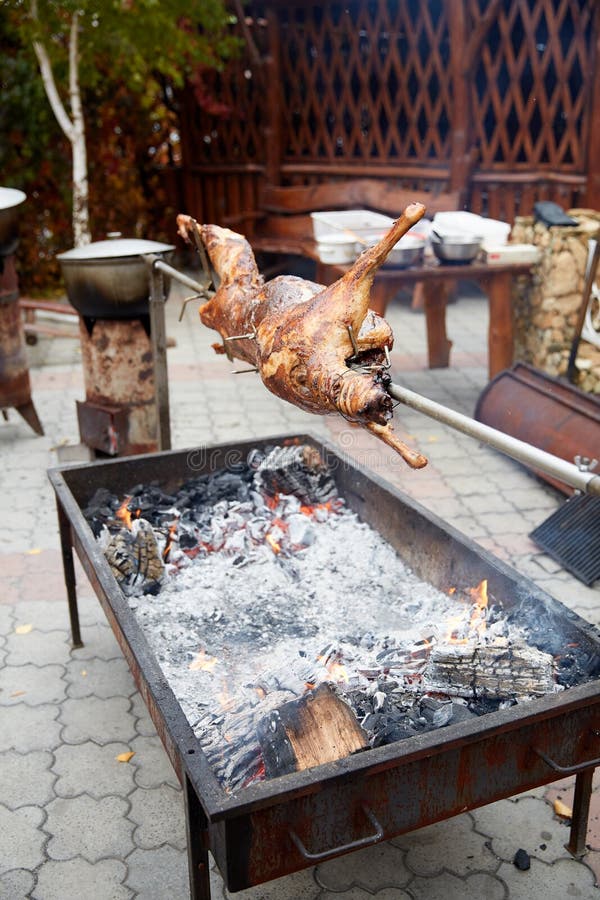 Rabbit on a Spit on the Grill Roasts Stock Image - Image of grilled ...