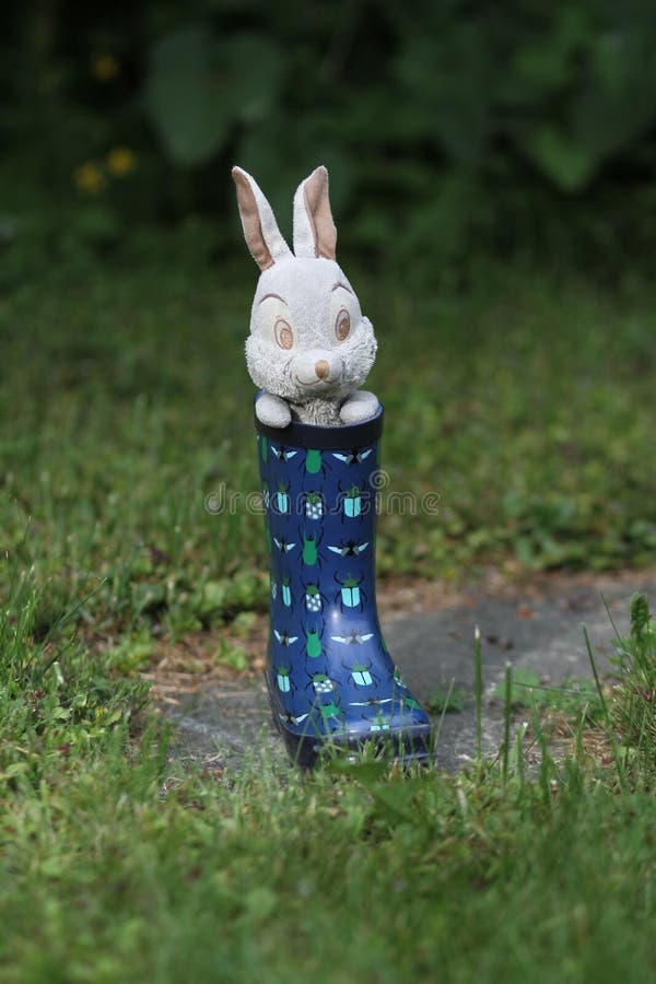 Rabbit stock photo. Image of lonely, grass, alone, boot - 96946362