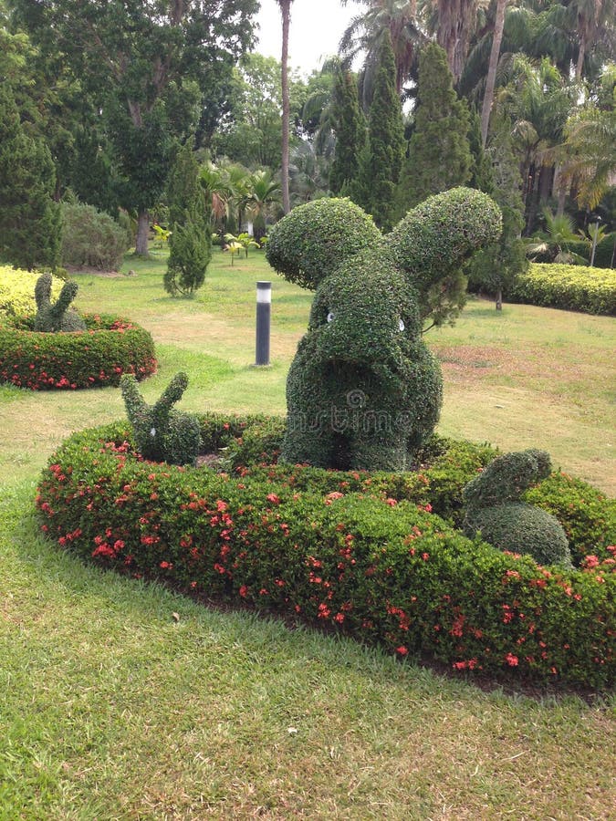 Toy Rabbit on a Tree. Soft Toy Close Up Stock Photo - Image of isolated ...