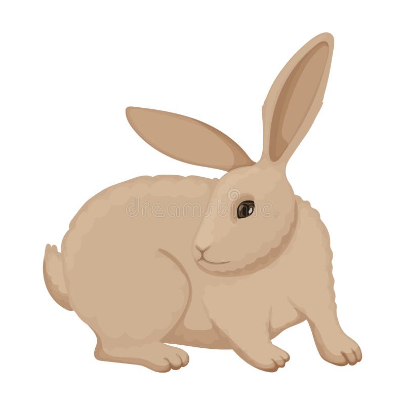 Rabbit Vector Cartoon Icon. Vector Illustration Bunny on White ...