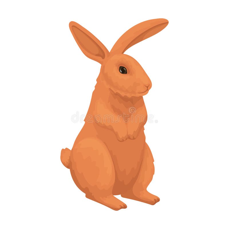 Rabbit Vector Cartoon Icon. Vector Illustration Bunny on White ...