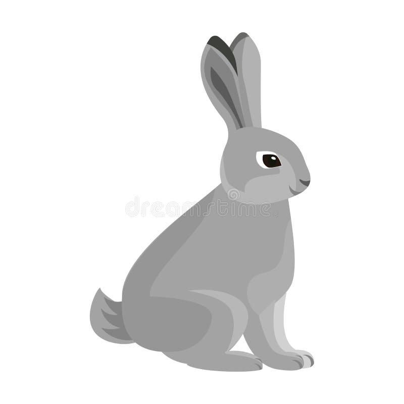 Rabbit Vector Cartoon Icon. Vector Illustration Bunny on White ...