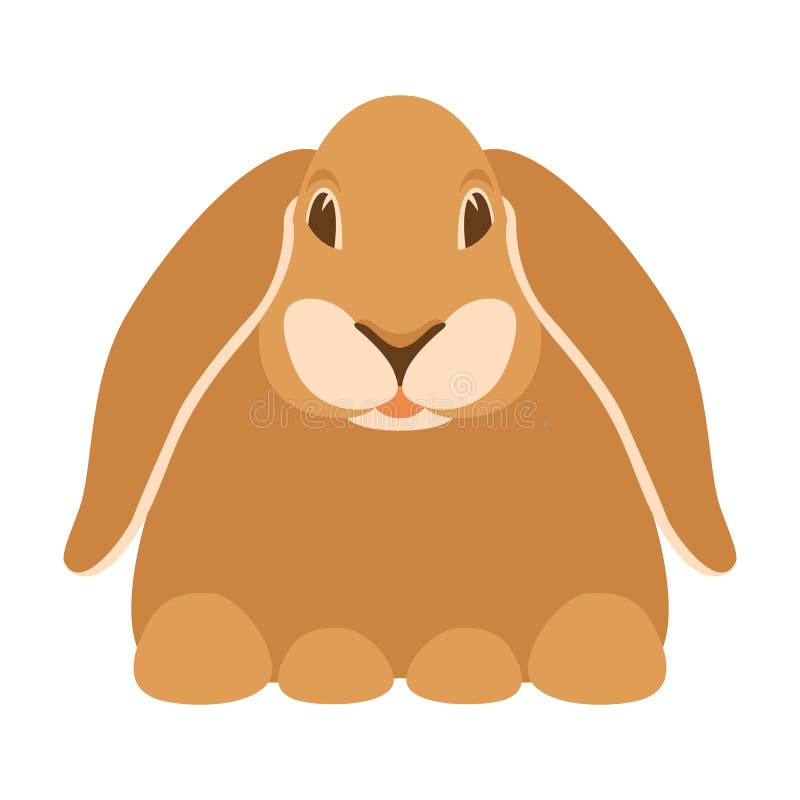 Rabbit Cartoon Vector Illustration Lining Draw Front Stock Vector ...