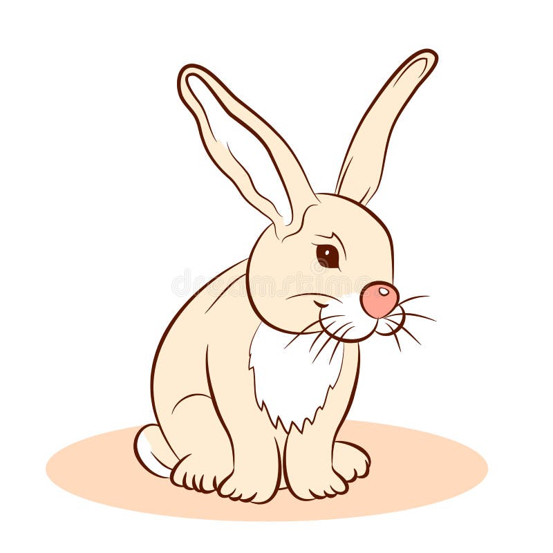 Rabbit Vector Illustration Front Stock Vector - Illustration of cartoon ...
