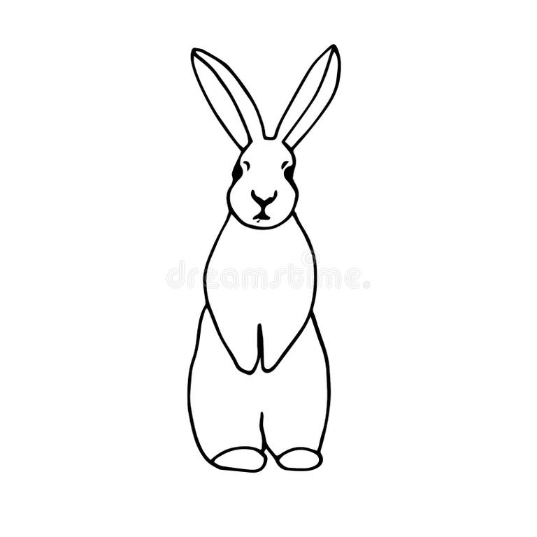 Rabbit, Vector Illustration, Hand Drawing Stock Illustration ...