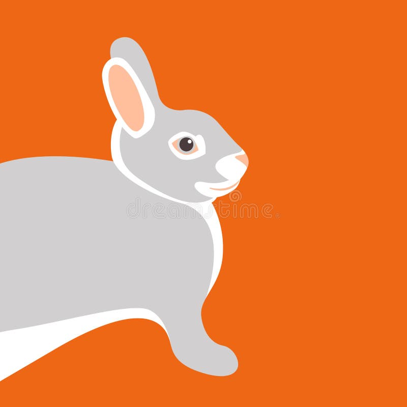 Two Rabbit Side and Front View Stock Vector - Illustration of european ...