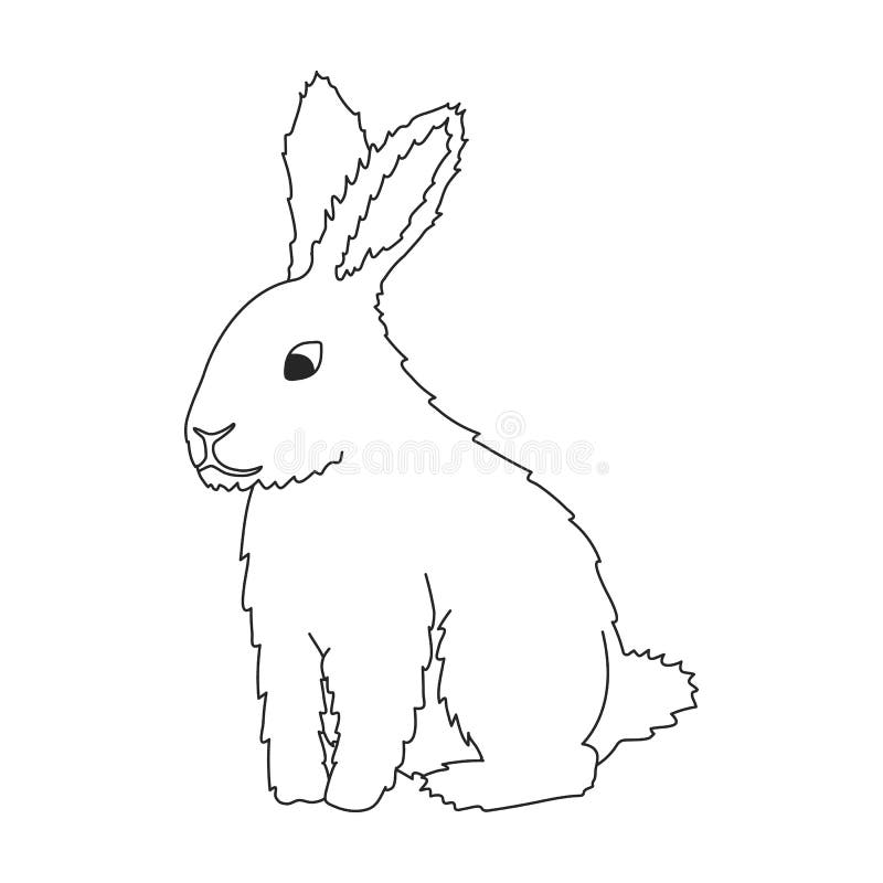 Rabbit Vector Outline Icon. Vector Illustration Bunny on White ...