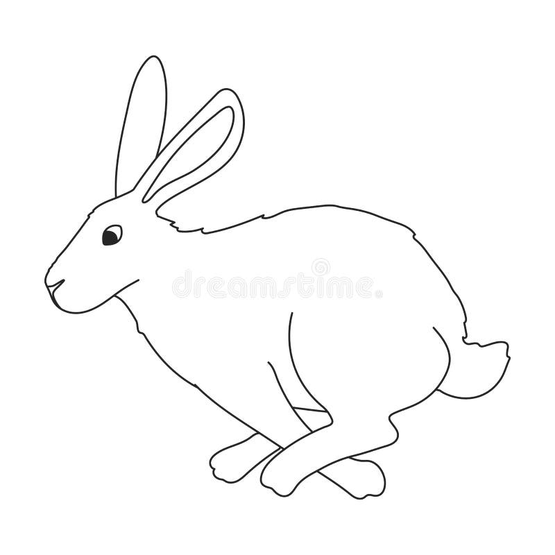 Rabbit Vector Outline Icon. Vector Illustration Bunny on White ...