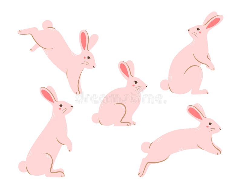 Rabbit vector set stock vector. Illustration of cartoon - 262071979