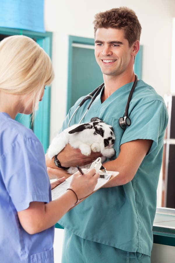 Vet Check-Up stock image. Image of rate, checkup, girl - 15836023
