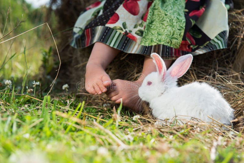 2,941 Rabbit Village Stock Photos - Free & Royalty-Free Stock Photos ...