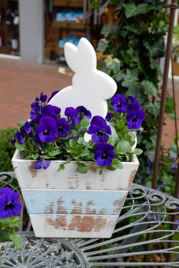 Rabbit in Violet Flowers for Easter Stock Image - Image of close ...