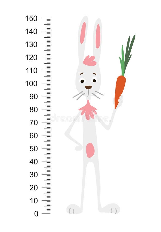 Rabbit Wall Meter. Cute Bunny with a Gift on a Background of Flowers ...