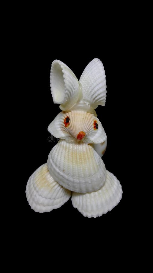 A Rabbit Which is Made of Shell Stock Image - Image of animals, model ...