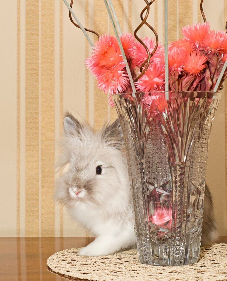 Rabbit stock photo. Image of leveret, hare, flowers, eyes - 45677596