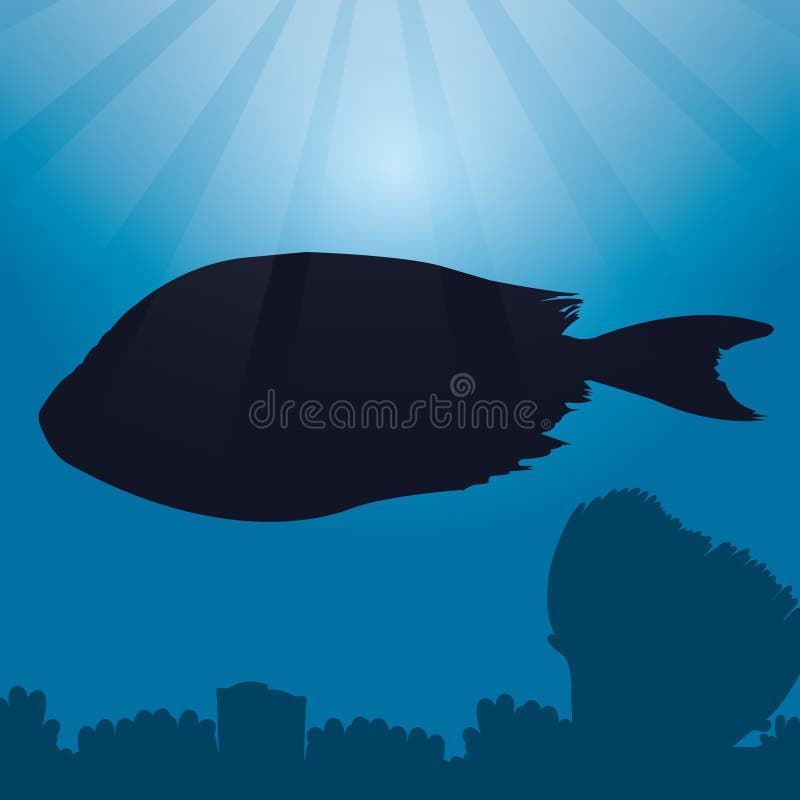 Rabbitfish Silhouette. Vector Illustration Decorative Design Stock ...