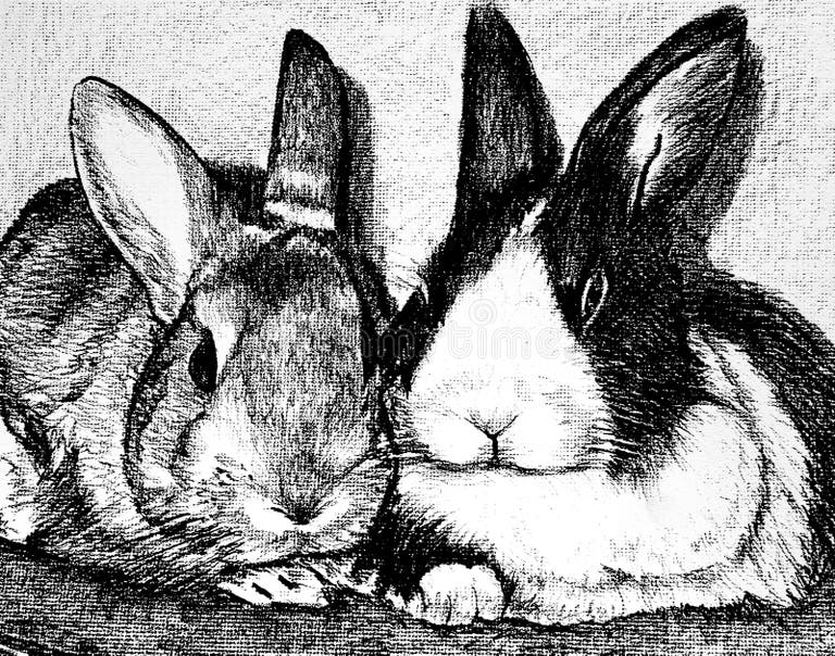 Black White Rabbits Stock Illustrations – 4,288 Black White Rabbits ...