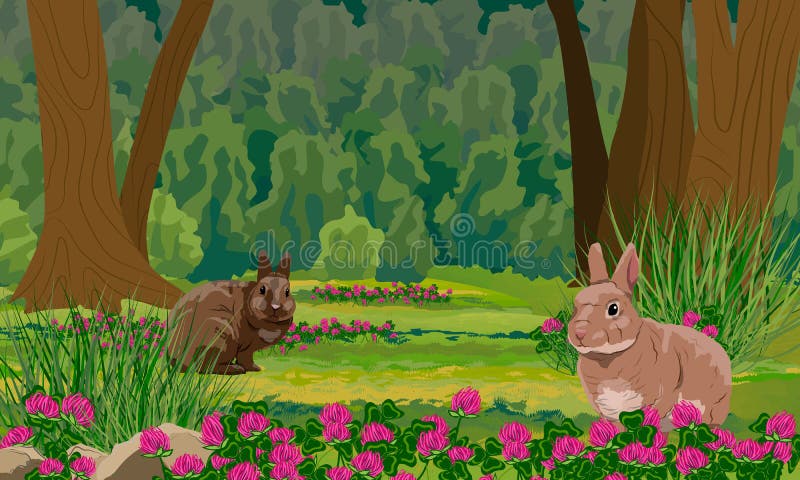 Rabbits in the Forest. Dense Forest with Trees, Bushes and Clover Stock ...