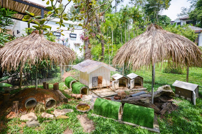 Rabbits house in garden stock photo. Image of animal - 46725022