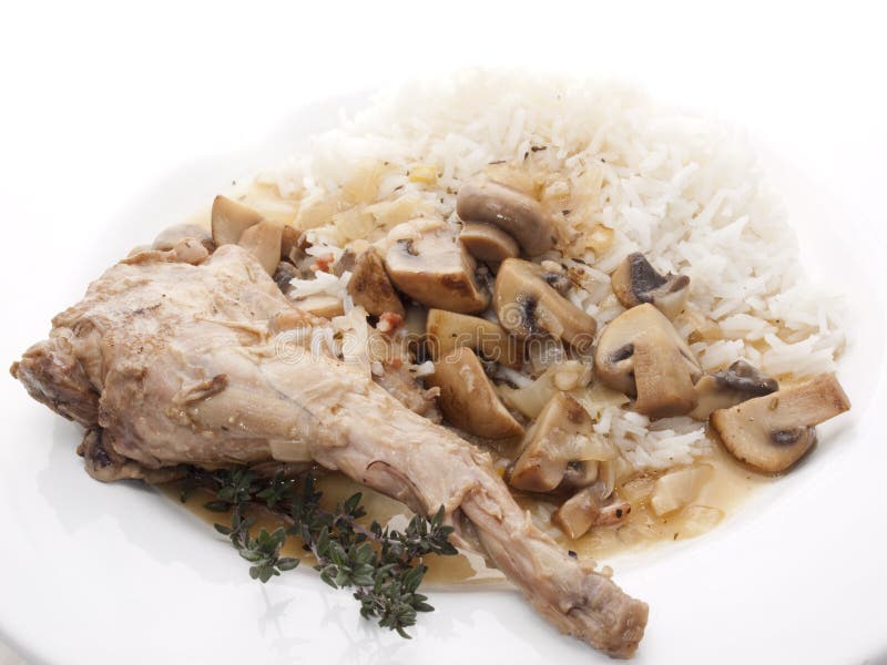 Rabbits leg stock photo. Image of rice, mushrooms, sauce - 13518870
