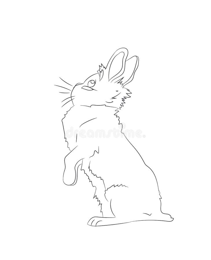 Rabbits with lines, vector stock vector. Illustration of cute - 118004869