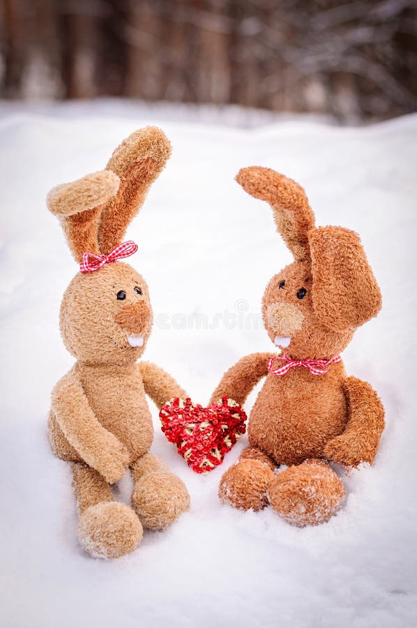 Rabbits in Love with a Heart Stock Photo - Image of interaction ...