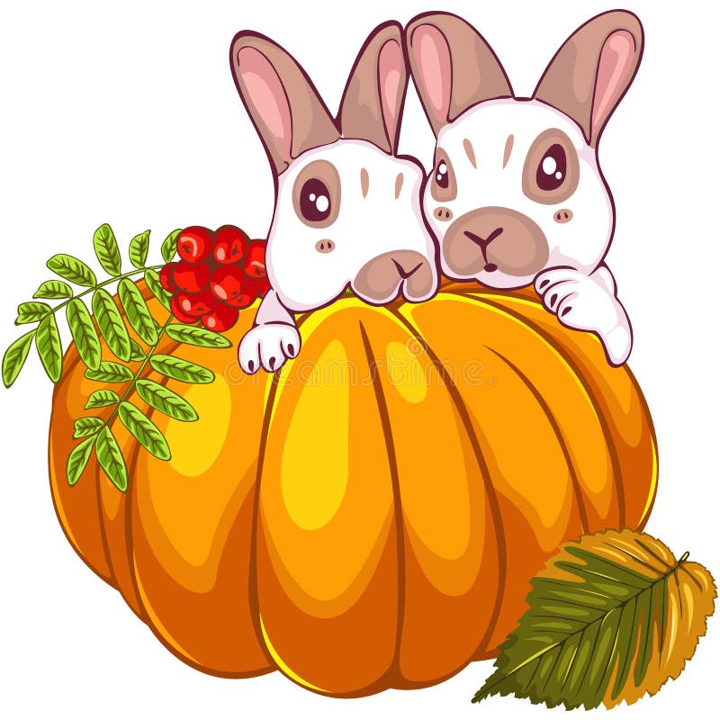 Rabbits with pumpkin stock vector. Illustration of pumpkin - 258958980