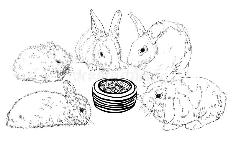 Bunnies stock vector. Illustration of eared, animals - 44101640