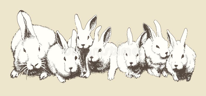 Rabbits Stock Illustrations – 27,102 Rabbits Stock Illustrations ...