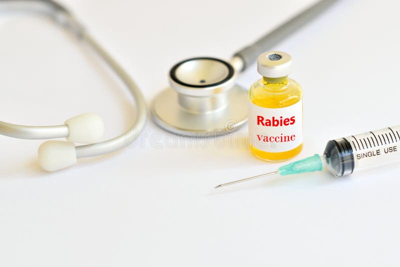 Rabies vaccine stock photo. Image of doctor, immune, therapy - 70356100