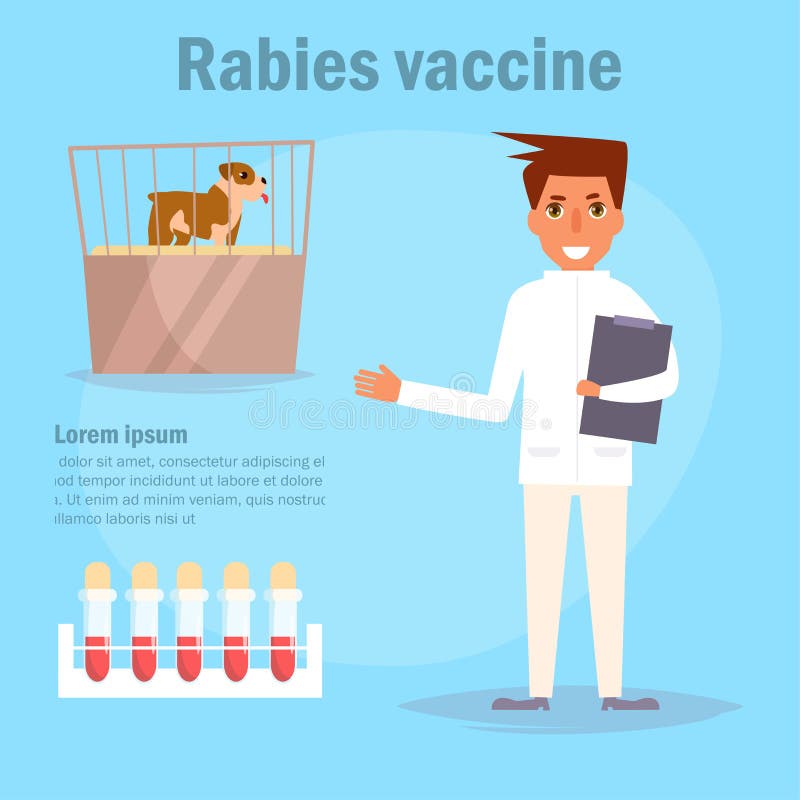Rabies Vaccine Vector. Cartoon. Isolated Art on White Background Stock ...