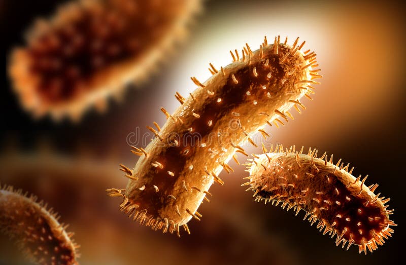 Rabies virus - Мак Дог.ру