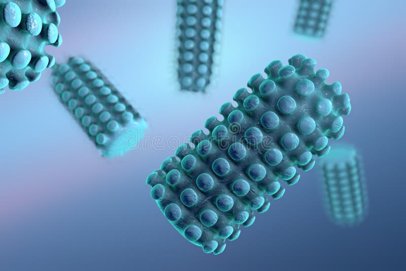 Rabies virus illustration stock illustration. Illustration of science ...