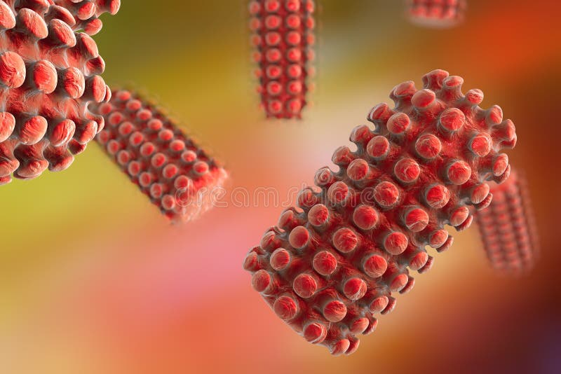 Rabies virus illustration stock illustration. Illustration of human ...
