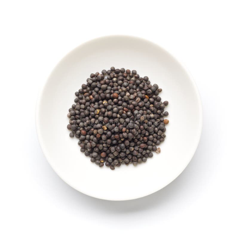 Rabina imagen de archivo. Imagen de rabina, alimento - 32680583