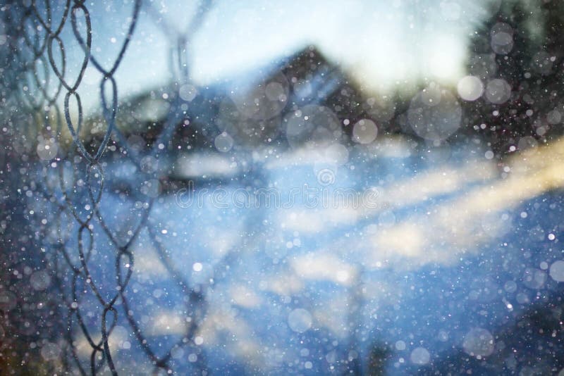 Rabitz on Winter Background Stock Photo - Image of rabitz, nature: 66406588