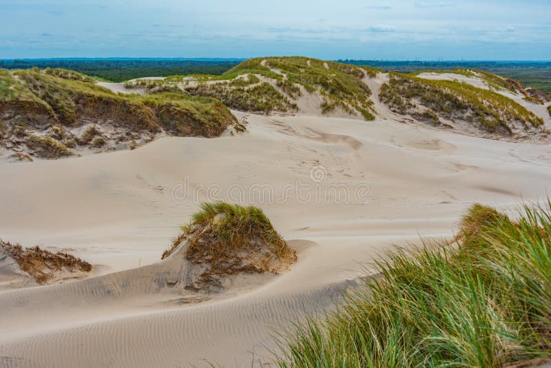 R??bjerg Mile Sand Dunes in Denmark Stock Photo - Image of sand, beach ...