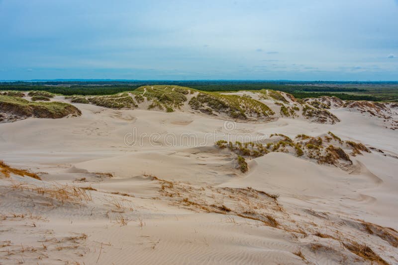 R??bjerg Mile Sand Dunes in Denmark Stock Photo - Image of formation ...