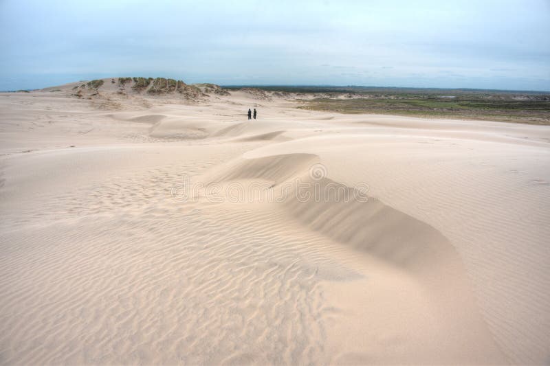 R??bjerg Mile Sand Dunes in Denmark Stock Image - Image of drift ...