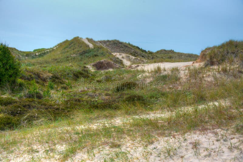 R??bjerg Mile Sand Dunes in Denmark Stock Image - Image of scandinavia ...