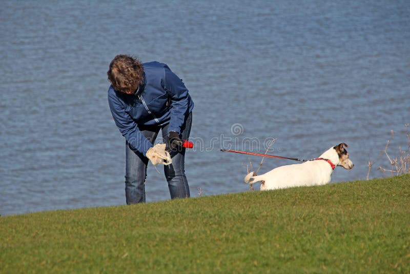 2,082 Cacca Foto - Foto Stock Gratis e Royalty-Free da Dreamstime