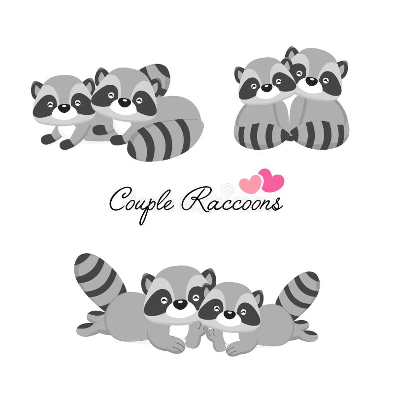 Set of Couple Raccoons in Love for Valentine`s Day. Stock Vector ...